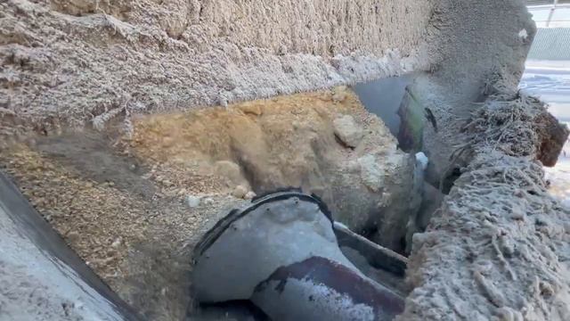 Плющение влажного зерна