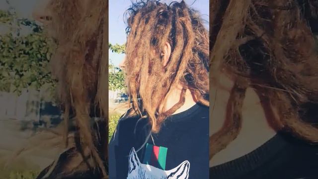 Хранители. #top1 #shorts #митяправило #old #wolf