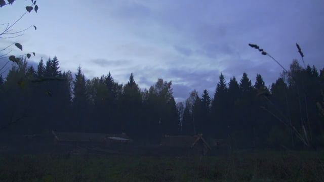 Один в прошлом. Неделя 4