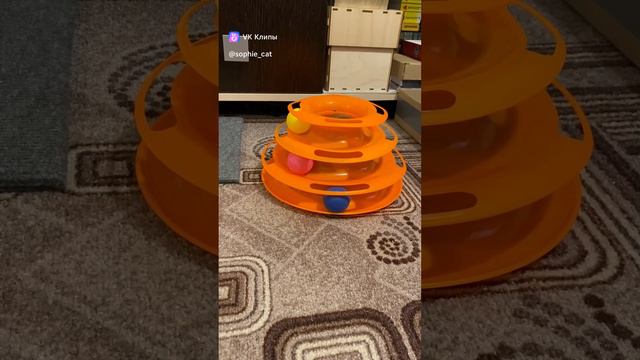 Игры Софи Кошки. софи_кошка