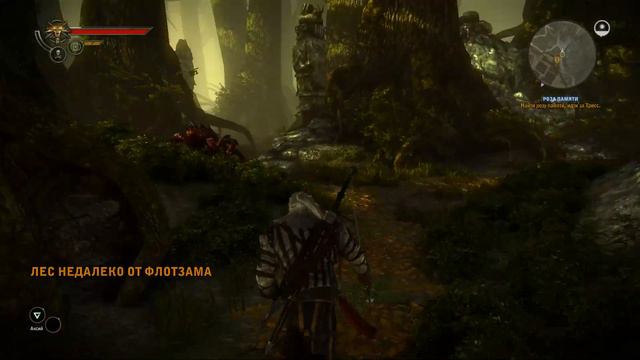 Ведьмак 2. Серия № 5. Гнусное дело. Нужно встретиться с Эльфами!