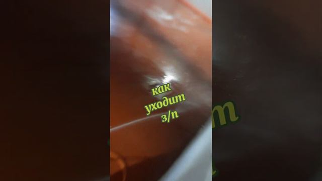 Работа спорится. #митяправило #marf4elovek #уборка цеха