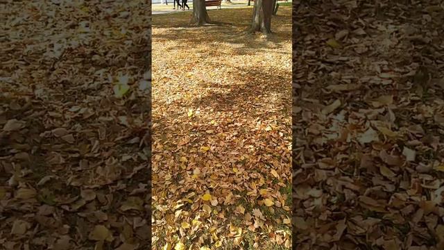 #гуляю#буслена