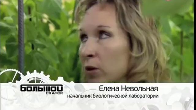 Большой скачок. Биоинженерия.avi