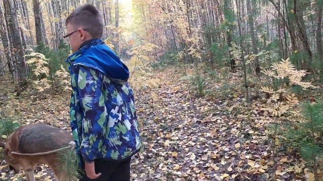 Прогулка по осенней тайге.