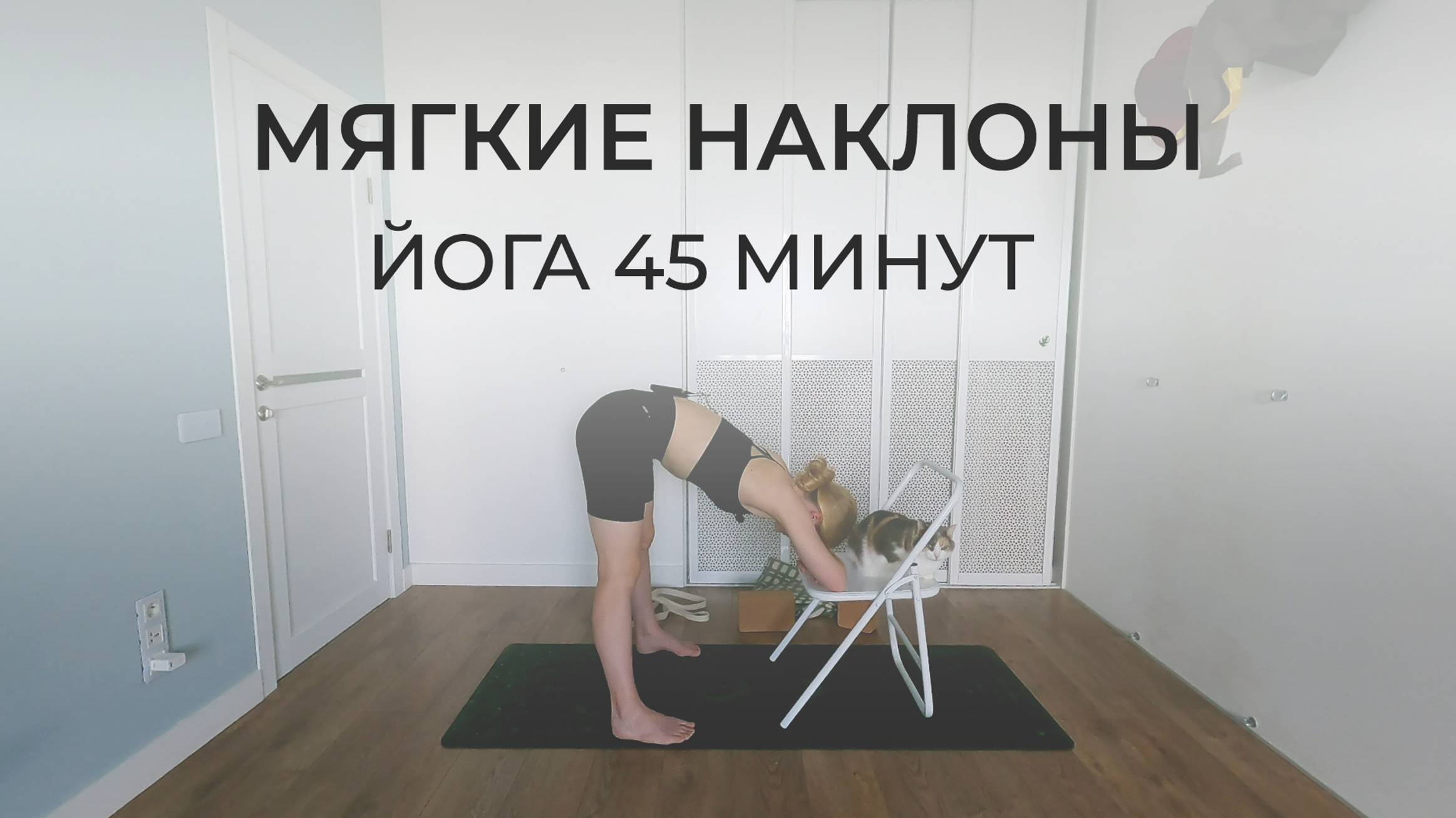 Йога для внутреннего спокойствия и снятия боли со спины | 45 минут | йога Айенгара