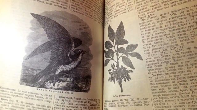 Полезнствовательное чтение