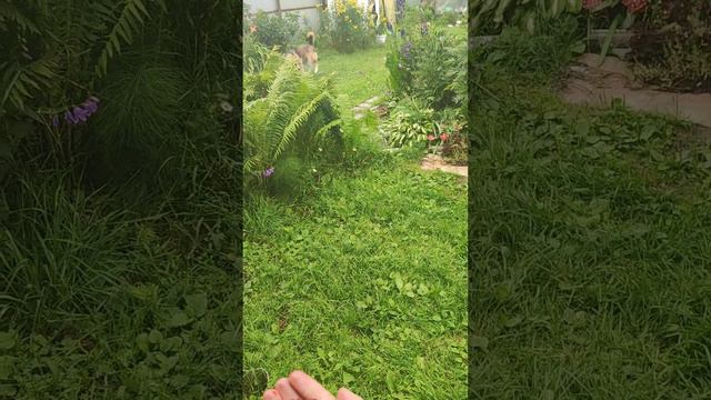 13 августа 2024 г.