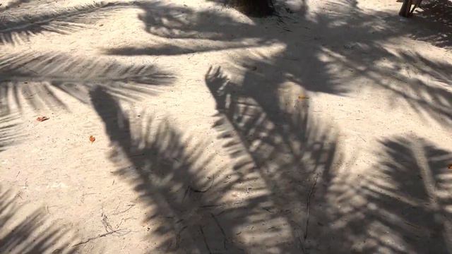 Релакс  2023 (4).