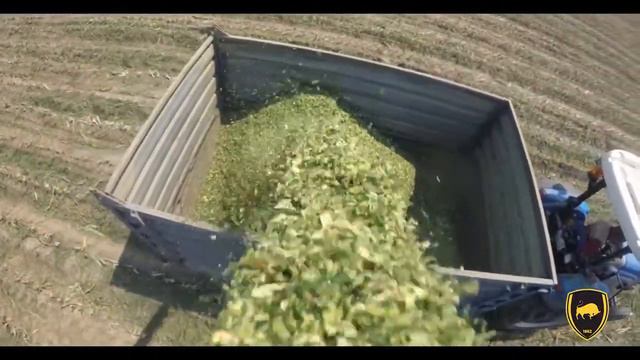 Кормоуборочный комбайн CELIKEL CHALLENGER II PLUS