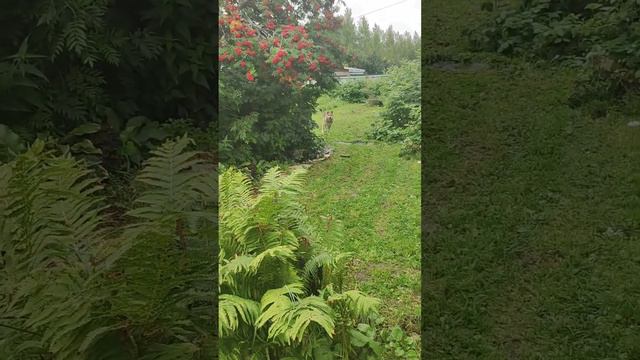 23 августа 2024 г.