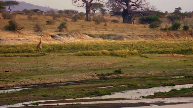 HD Львиное Королевство - Охотник на Гигантов 2 из 3