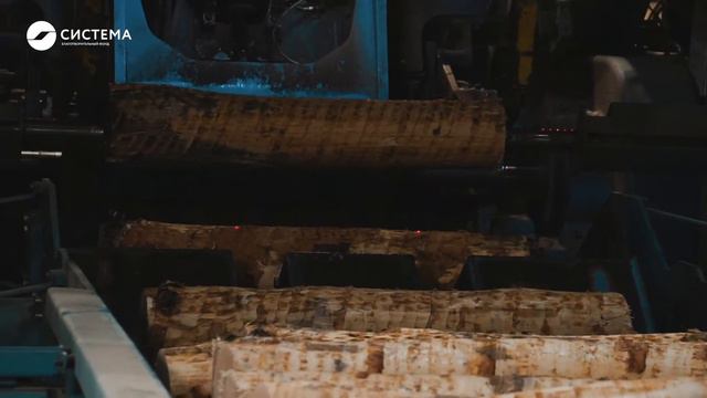 Одна из серий проекта "Челлендж". Эпизод о профессии лесопромышленной отрасли