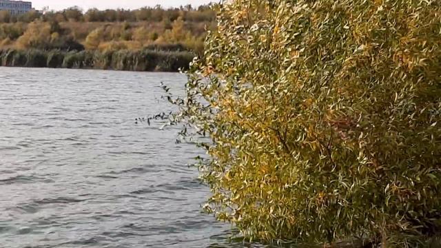 Осень на пляже. Релакс под шум волн