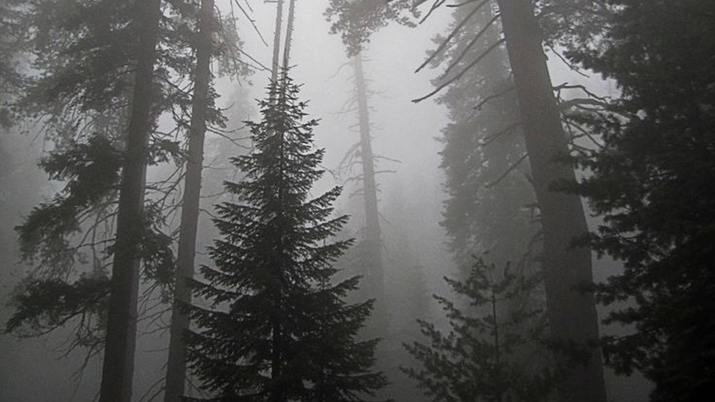 11 Как ночь длинна