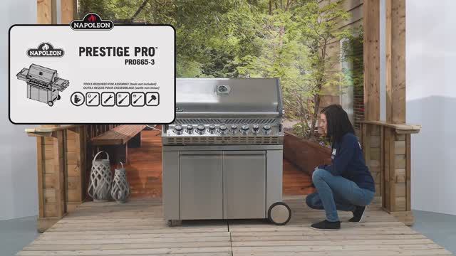 Prestige PRO 665 Assembly