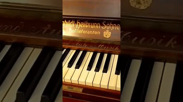 30 января 2024 г.