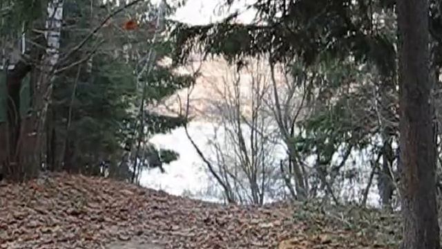 Осень на ЗБС (2005)