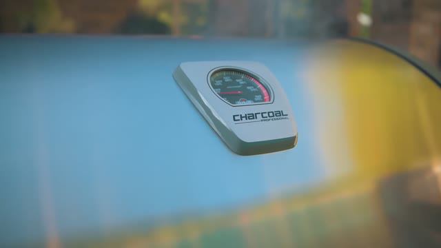 Napoleon Charcoal Professional Grill