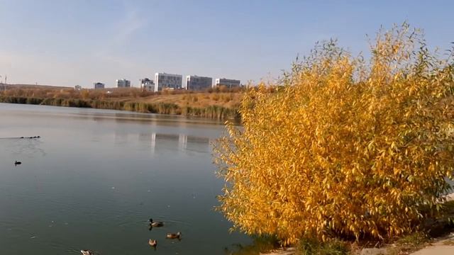 Теплый октябрь в Пензе