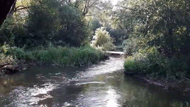 Речка Мичкас и окрестности. Музыкальная зарисовка.