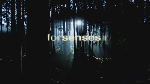 Forsenses II - Timber Lounge