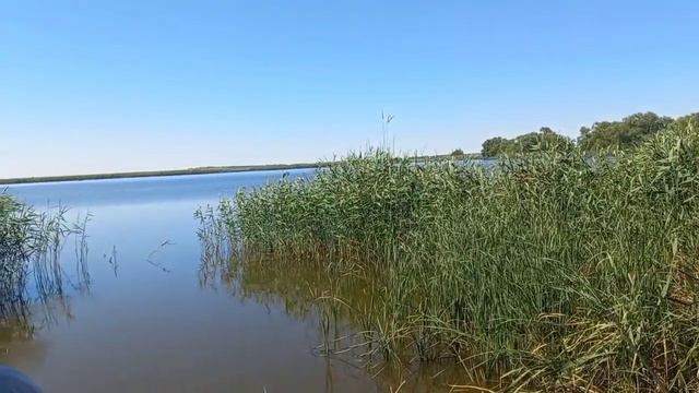 Как мы ездили на рыбалку в Барки