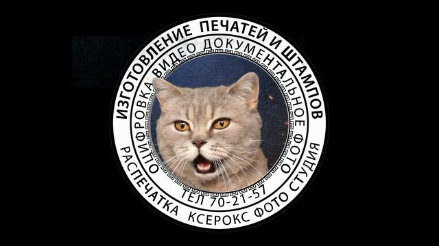 Изготовление печатей штампов 2024