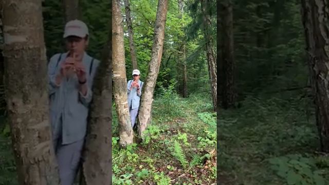 "Малиновка" Фортепианная аранжировка @smakovsky