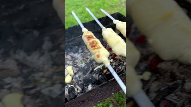 Мы тут на шашлыки собрались | прикол |🤣 #food #шашлык #еда #прикол #гребешок #дача #природа