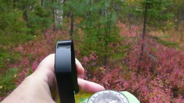 Ориентирование по кронам в тайге. Пример 3