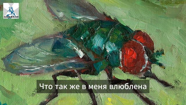 Ф20 «Муха» МИНУС