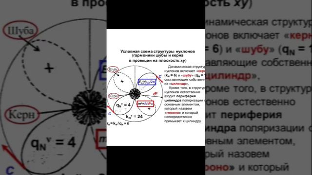 Структура шубы протона.
