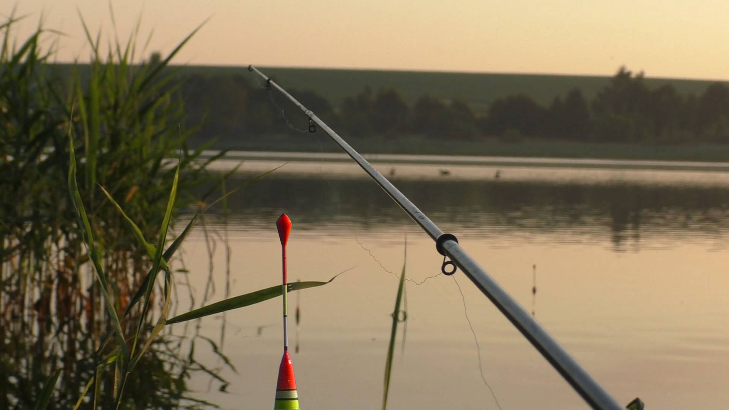 Крупный карась на поплавок. Карась на червя с лодки