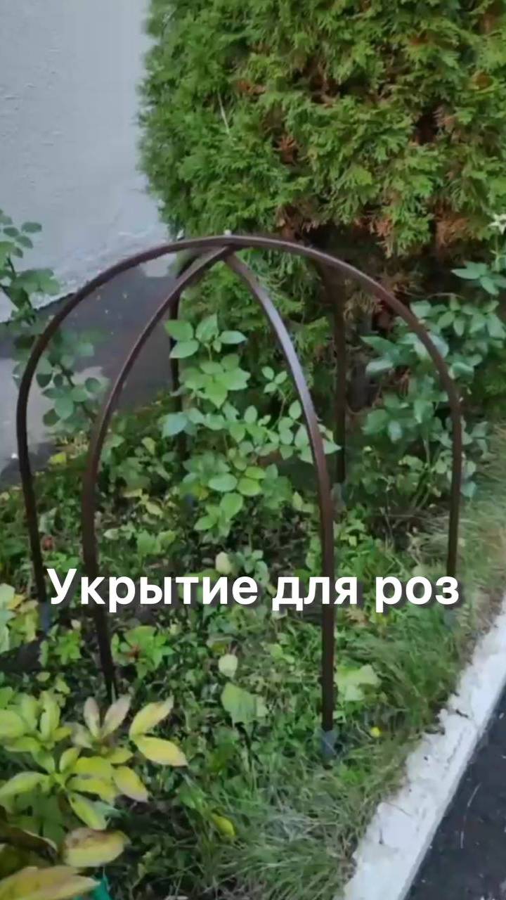 Укрытие для роз