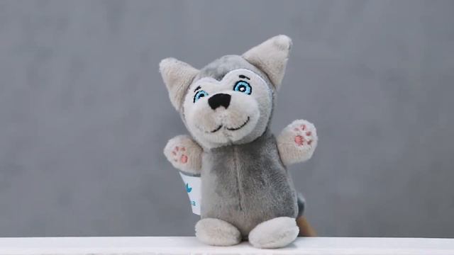 Приветствие от Вени