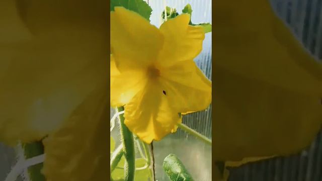 8 сентября 2024 г.