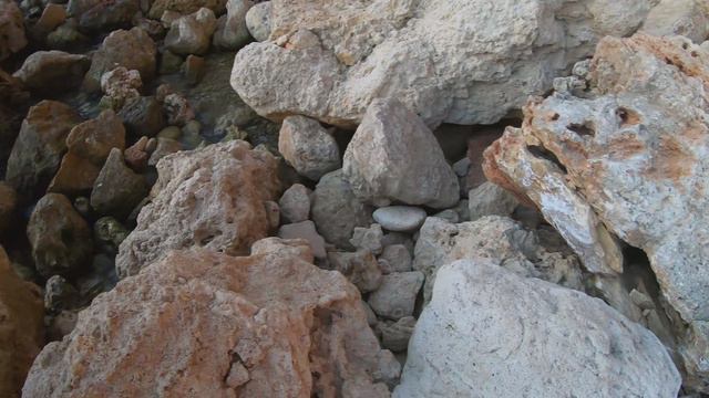 Не боимся ехать в КРЫМ ! Севастополь этим летом. Сезон 2024. Дикий пляж АВТОБАТ и его обитатели.