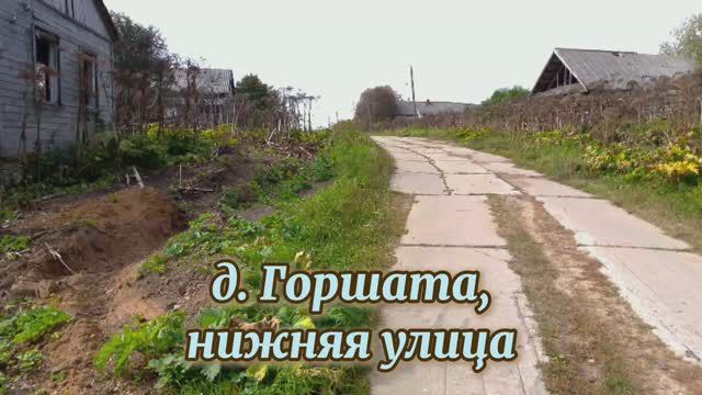 Деревня Горшата, нижняя улица.mp4