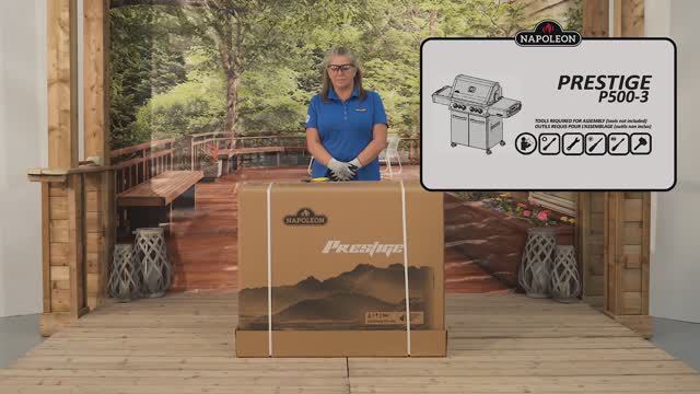 Prestige 500 Assembly