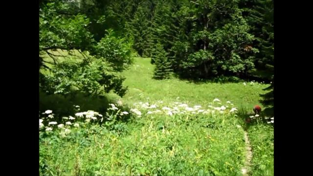 6 Трекинг по Юлийским Альпам День1