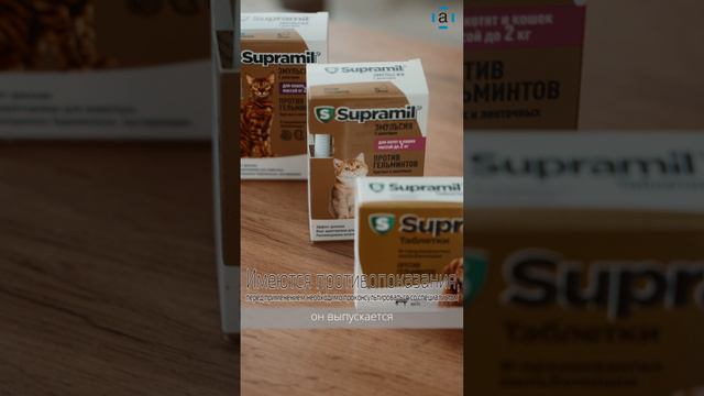 Кошка ест мух