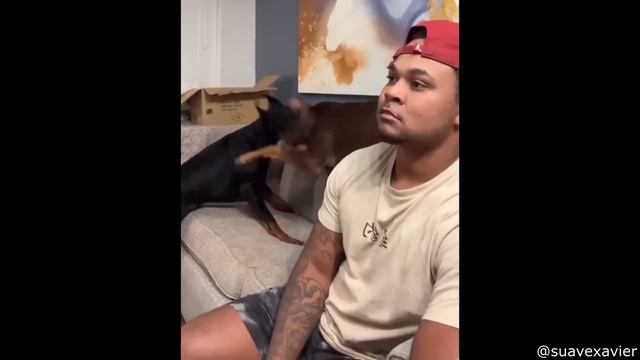 Подборка приколов 79