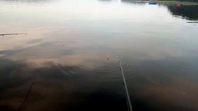 ловим корюшку на Белом море