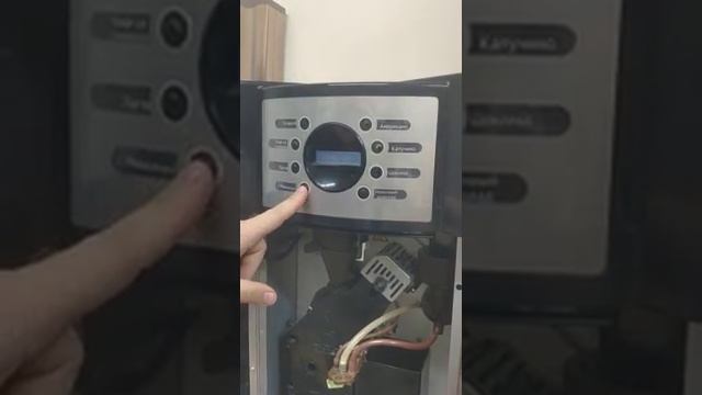 Бьянка Гая Снятие статистики