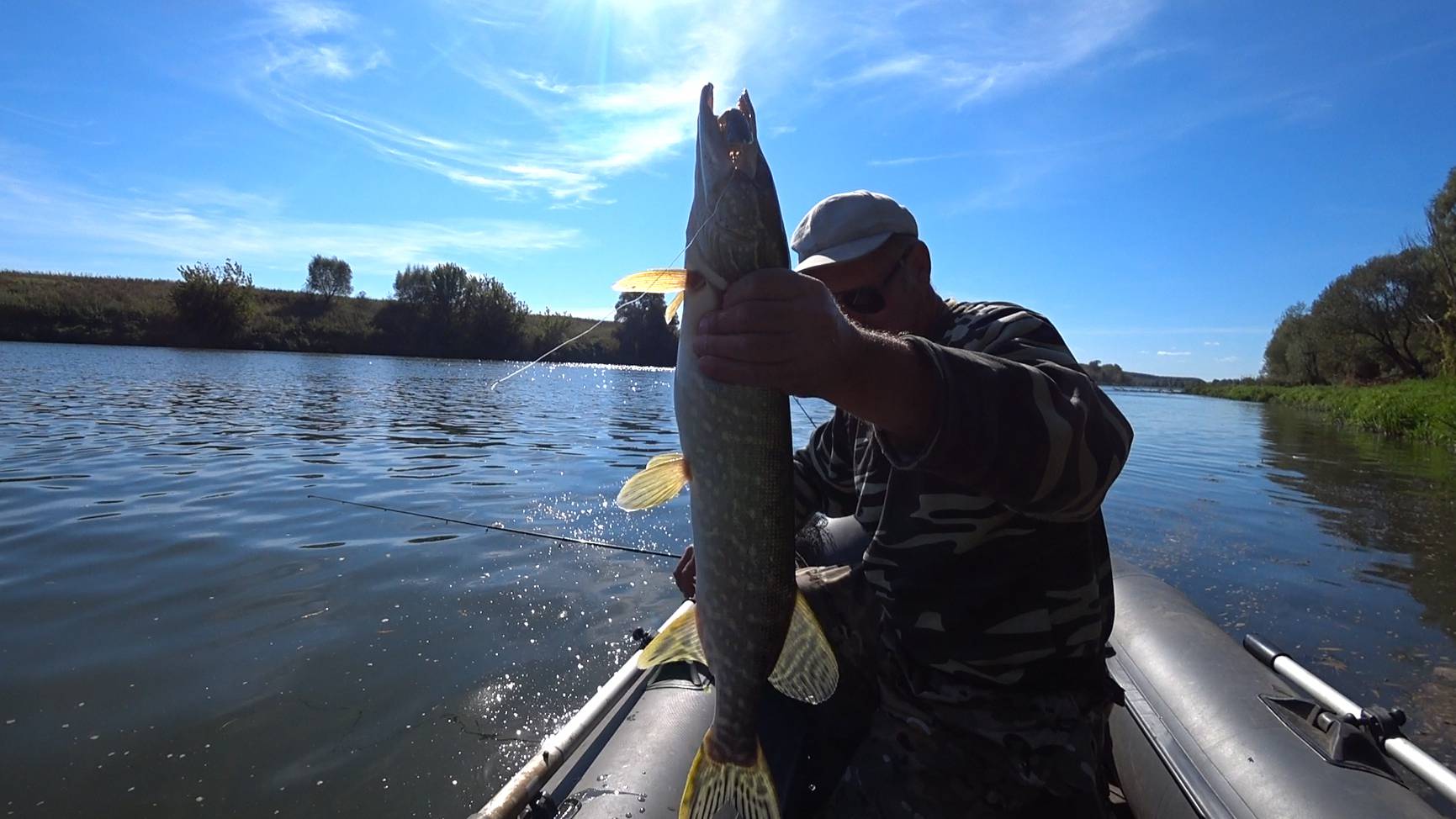 Вот это поклёвка. Удочка поскрипывает .Наконец 155 мм джерк поймал.