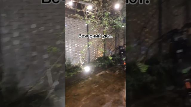 Далат это вкусно и красиво. #путешествия #энергопрактики  #душа #здоровье #психология