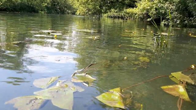 На реке Атмис. Музыкальная зарисовка.