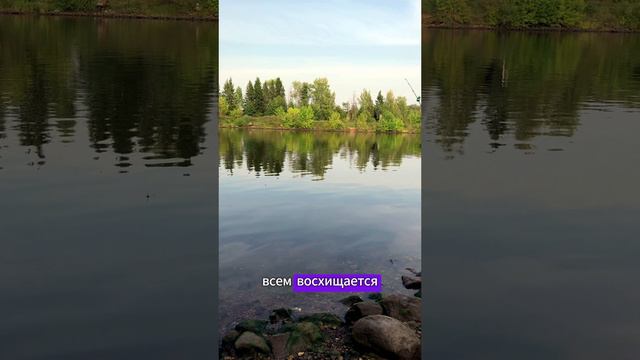 У РЫБАКОВ СВОЕ ИСКУССТВО! | СЧАСТЬЕ | 🐠 #рыбалка #fishing #река #каналименимосквы #лето #вечер