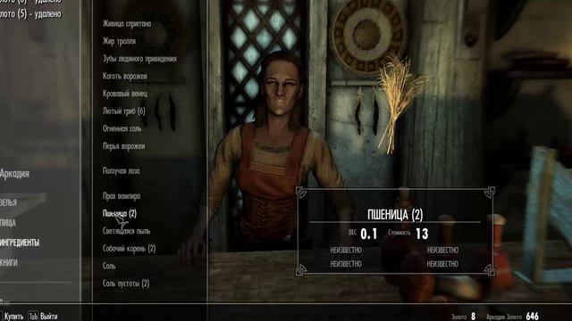 skyrim-Ron часть 3